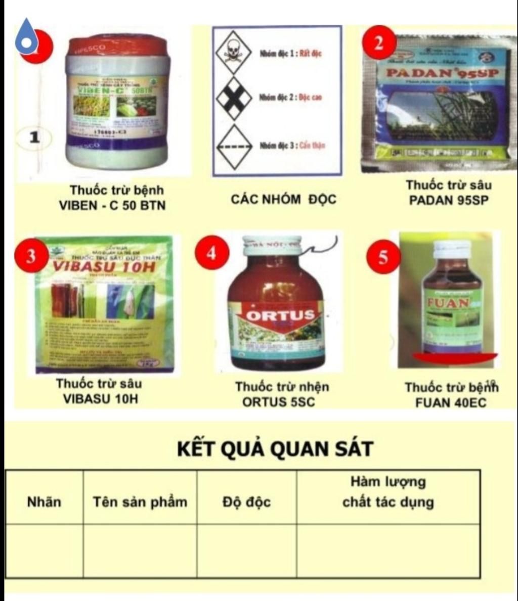 2 Nhóm độc 1: Rất địc PADAN'9SSP SOST Nhóm độc 2: Độc cao 1 Nhóm độc 3 ...