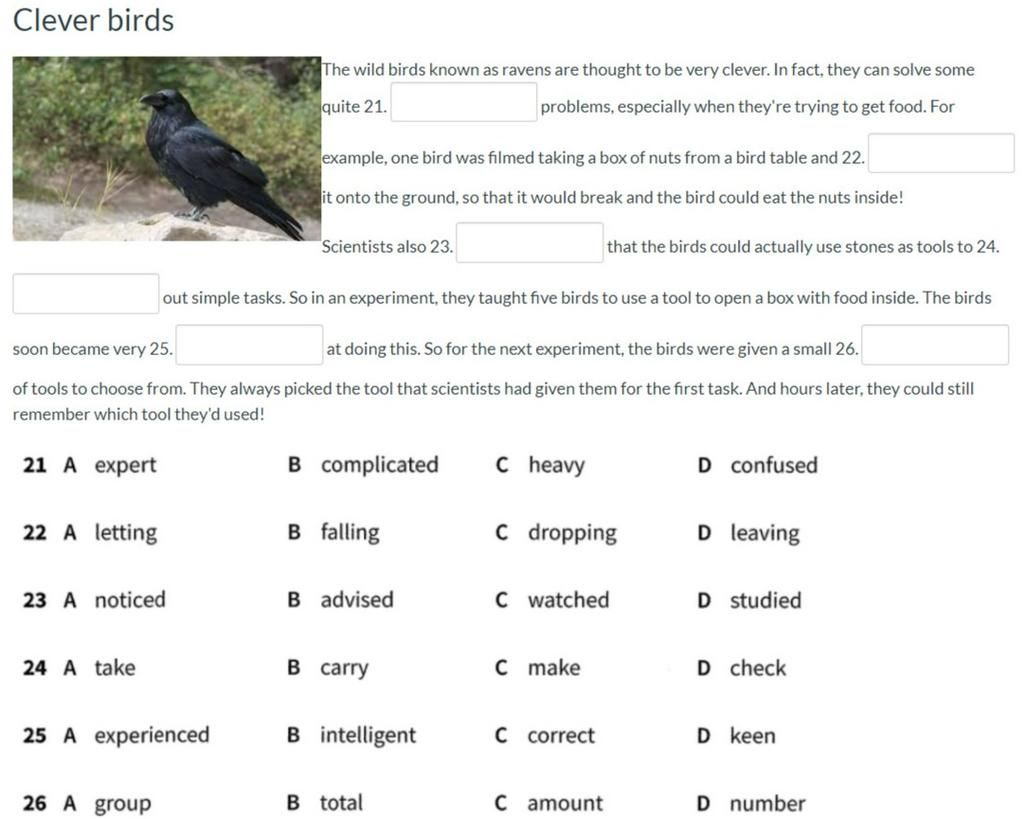 Clever birds The wild birds known as ravens are thought to be very ...