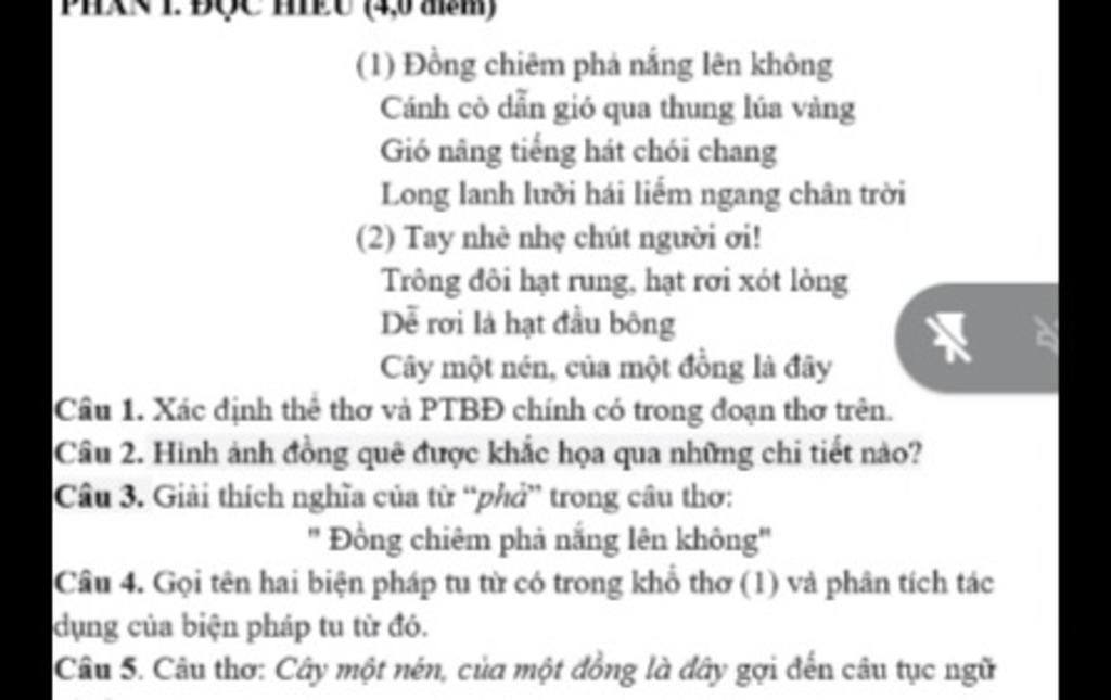 Câu 3 bbbbbbbbbbbbbbbbbbbbbbbbbbbbbbbbbbbbbbbbbbbb(1) Đồng chiêm phả ...