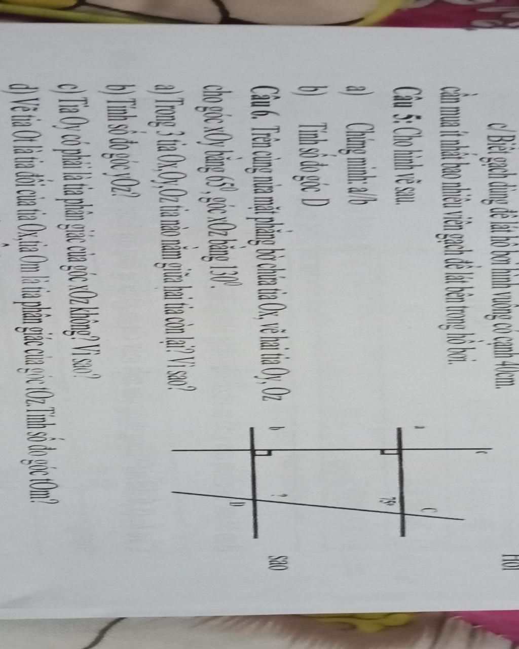 Giúp em với mọi người ơi Em đang cần gấp câu hỏi 5338237 - hoidap247.com