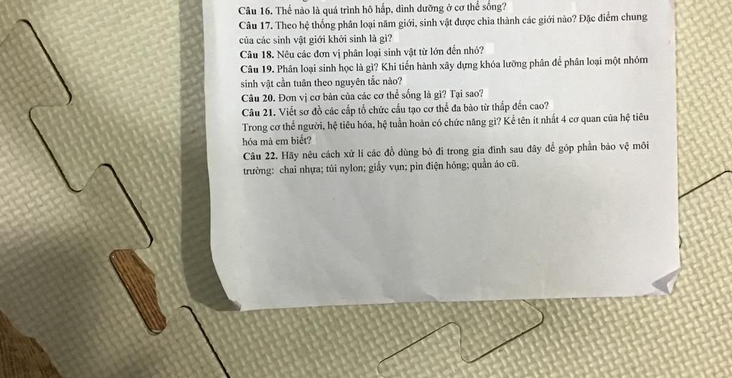 mik đag cần gấp mai thi rồi ai trả lời nhanh mình vote 5 sao câu hỏi ...
