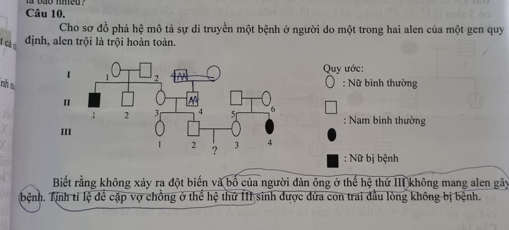 t can nh n -XI WAO Đào nhiều. Câu 10. Cho sơ đồ phả hệ mô tả sự di ...