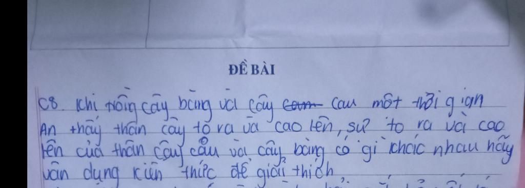 ĐỀ BÀI CB. Khi troig cay being vcl cay cam caur mot thai gign An thấy ...