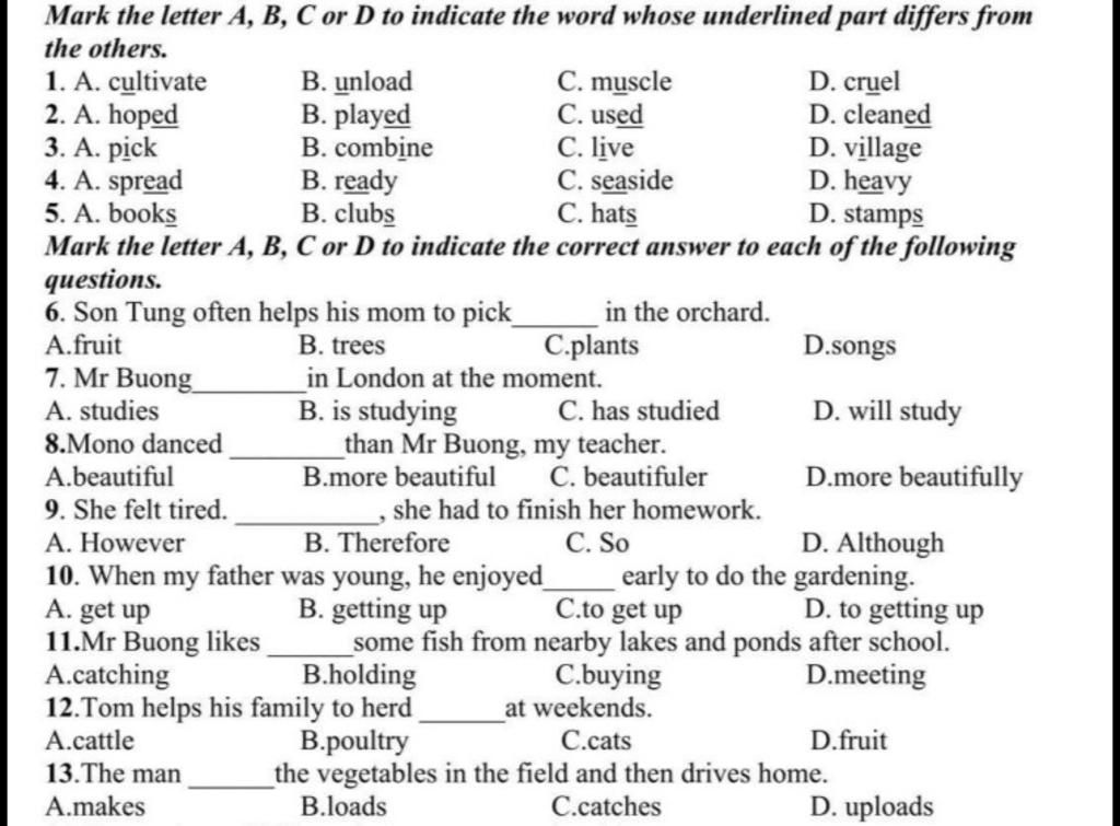 Mark the letter A, B, C or D to indicate the word whose underlined part ...
