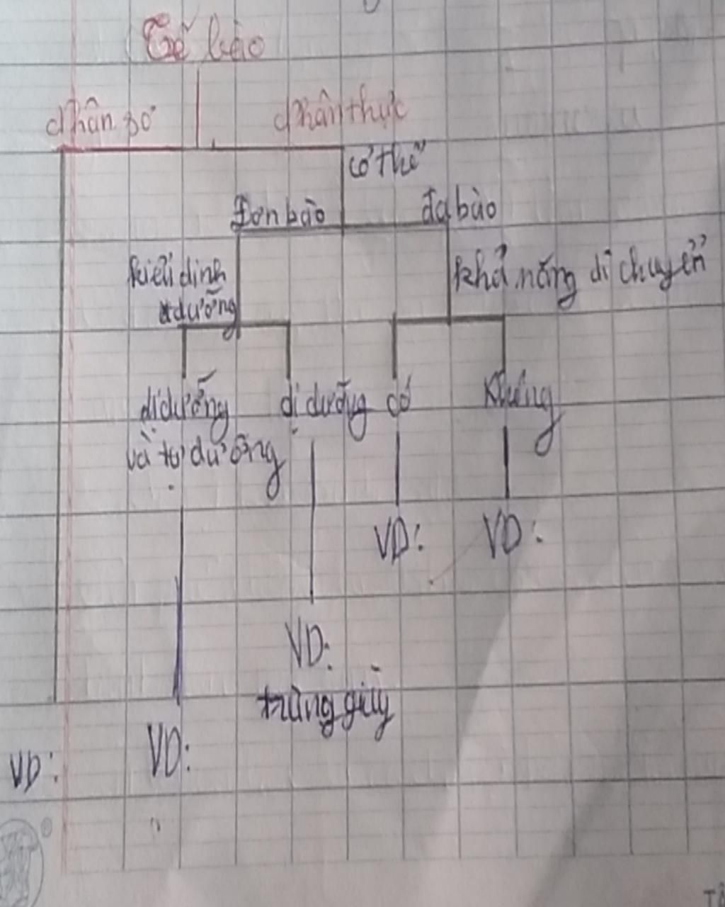sẽ bảo dhan so up. kiểu định đường hanthut Dan bão VD: To the da buo ...