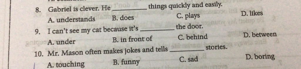 8. Gabriel is clever. He fob E B. does A. understands 9. I can't see my ...