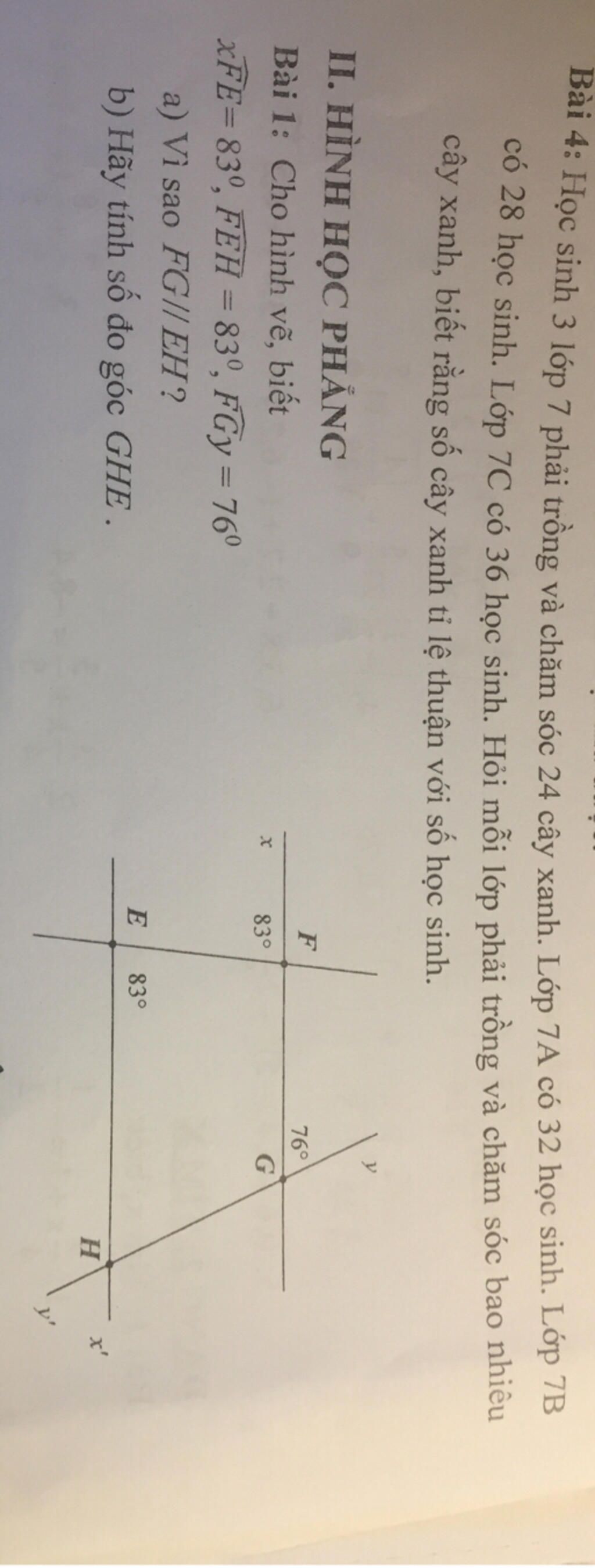 Bài 4: Học sinh 3 lớp 7 phải trồng và chăm sóc 24 cây xanh. Lớp 7A có ...