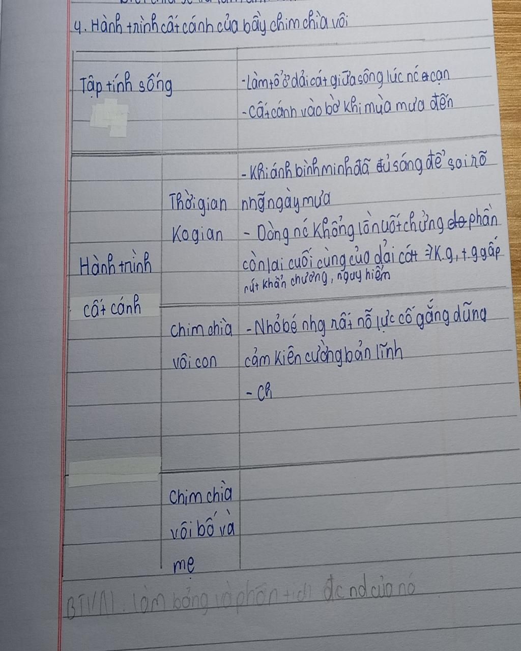Làm phần chim chìa vôi con và chim chìa vôi bố mẹ vào bảng rồi phân ...