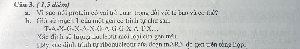 Câu 3. ( 1,5 điểm) a. Vì sao nói protein có vai trò quan trọng đối với ...