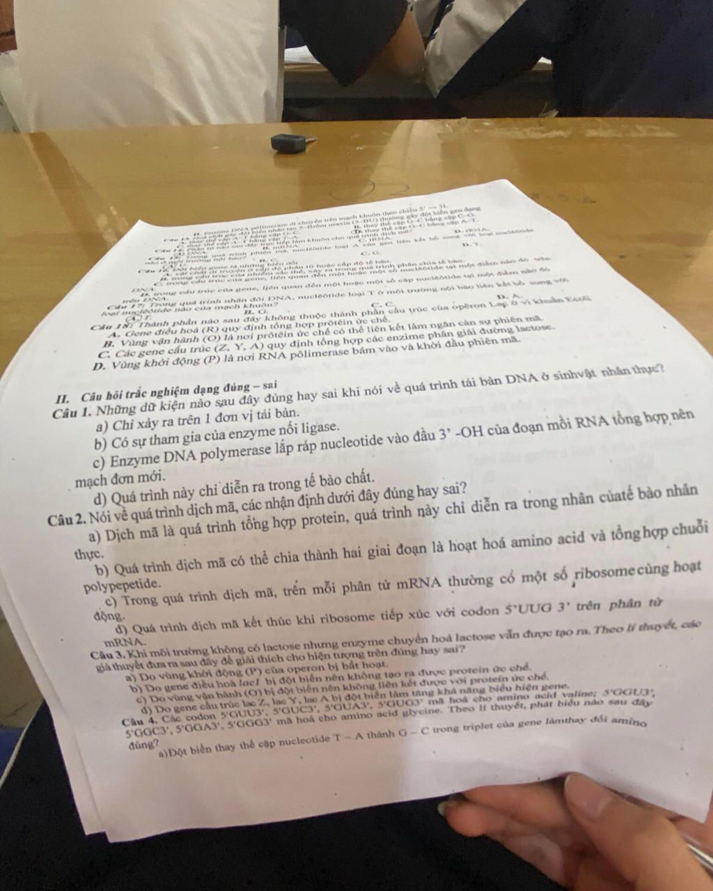 DINA ten DNA B. thay the ep Obing cp C-O CD thay the cap O-Chang sp A-T Joal mucleotide não coa ...