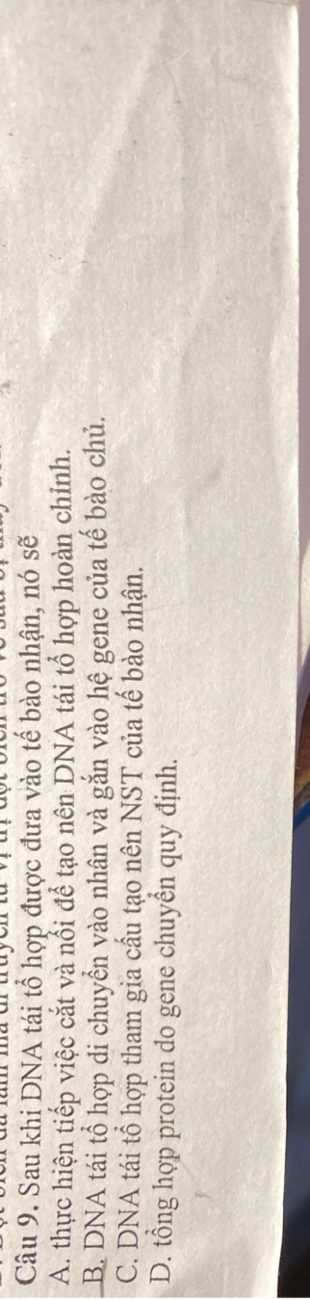 Câu 9. Sau khi DNA tái tổ hợp được đưa vào tế bào nhận, nó sẽ A. thực ...