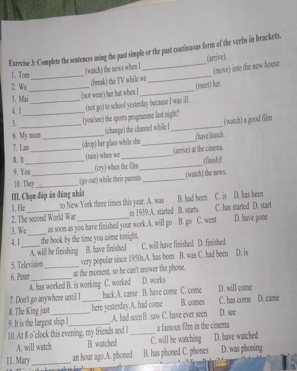 Exercise 3: Complete the sentences using the past simple or the past ...